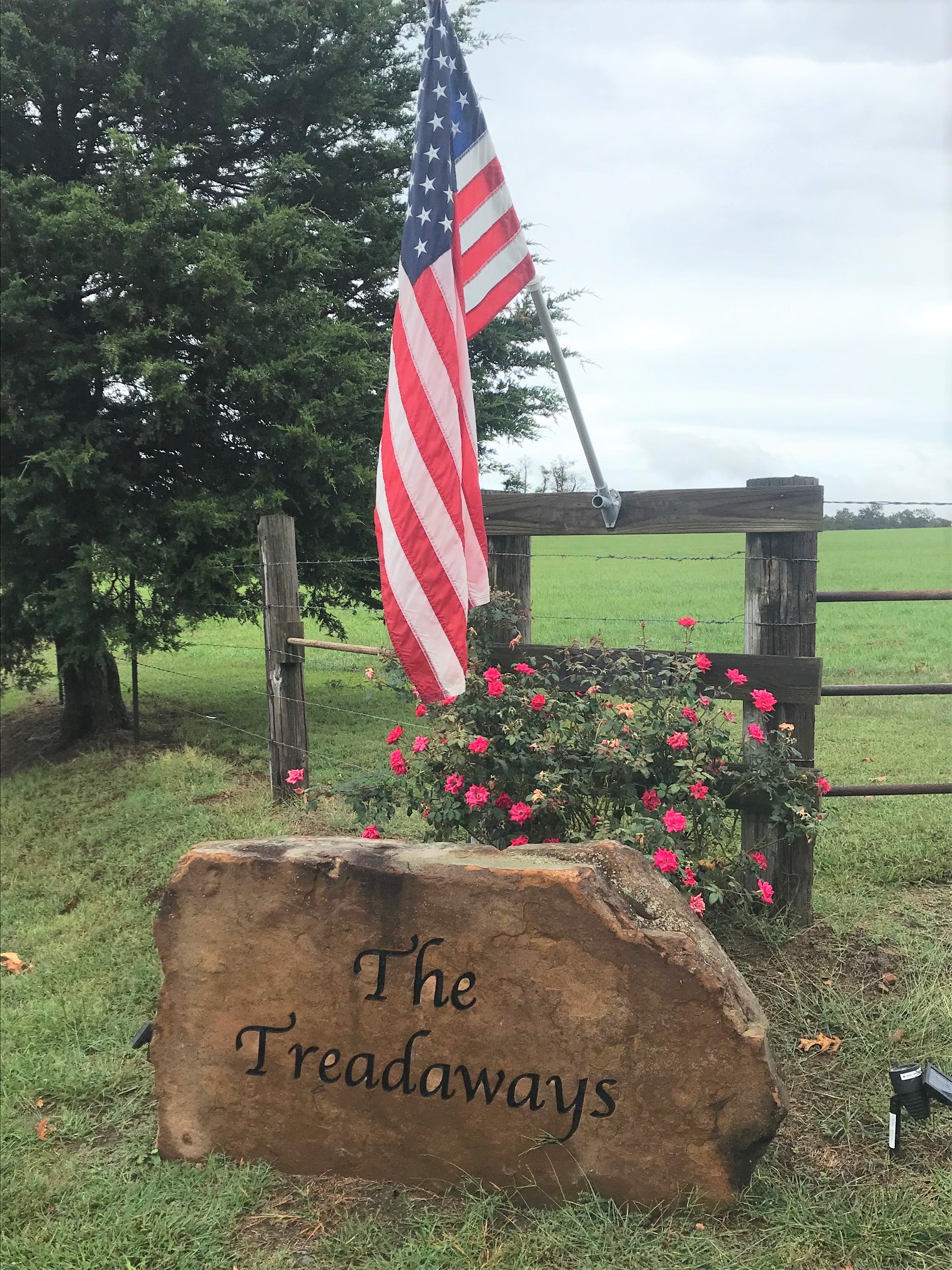 Mike Treadaway, Navy - Cindy Bonds
